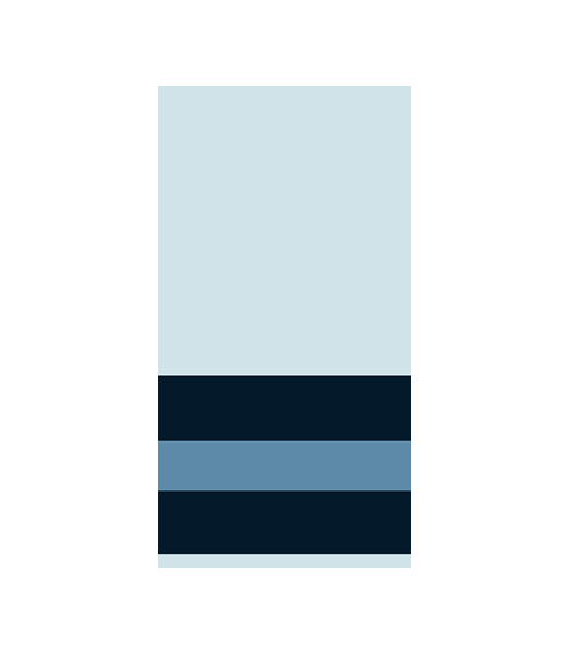 Ranks in Indian Air Force