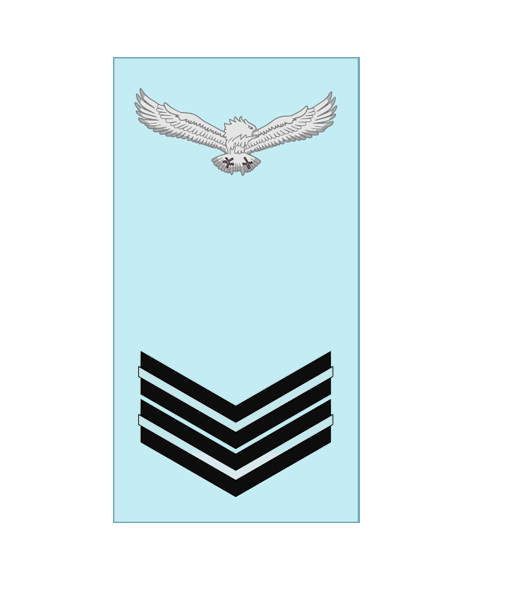 Ranks in Indian Air Force