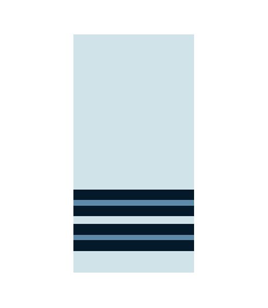 Ranks in Indian Air Force