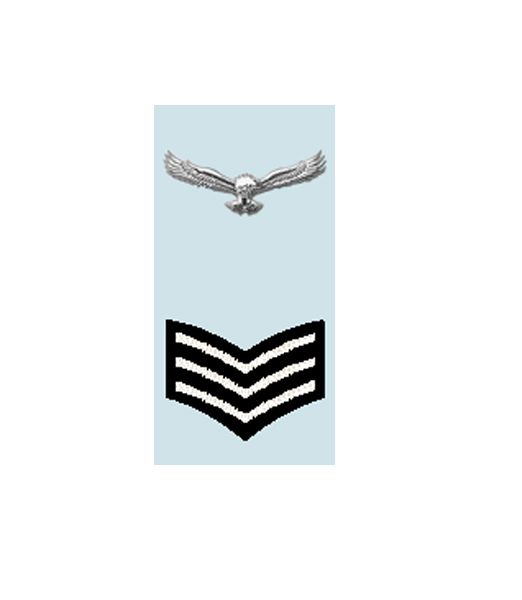 Ranks in Indian Air Force