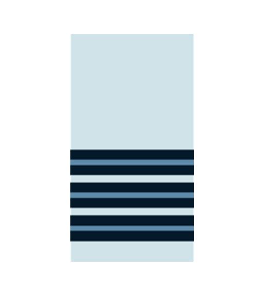 Ranks in Indian Air Force