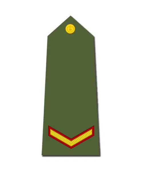 Ranks in Indian Army - A guide to Indian Army ranks